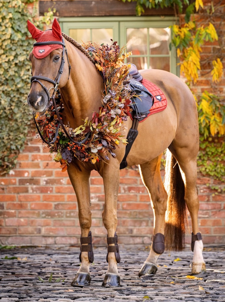 Коллекция Sienna от LeMieux – Интернет-магазин "Кони и Пони"